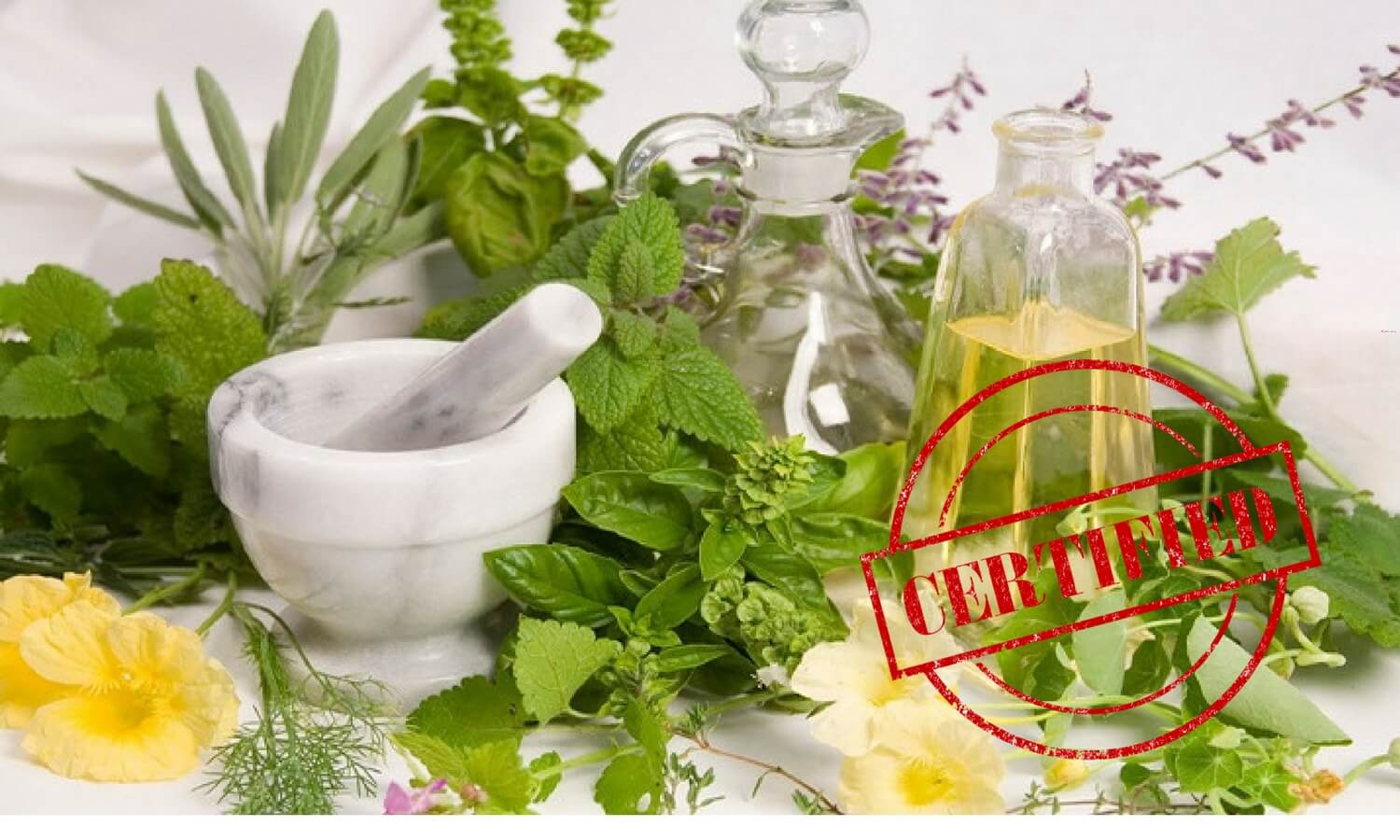 Siapa Bilang Semua Obat Herbal Aman? Ini Fakta dan Tips Memilihnya!