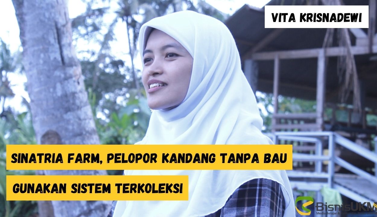 Sinatria Farm, Pelopor Kandang Tanpa Bau Gunakan Sistem Terkoleksi
